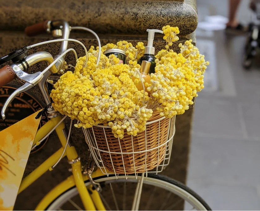 Cras Semper Auctor Neque Vitae - Toolz Geek