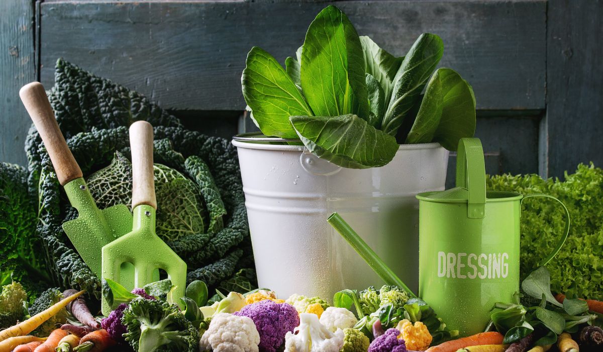 35 Best Vegetables to Grow in Buckets for Urban Gardeners - Toolz Geek