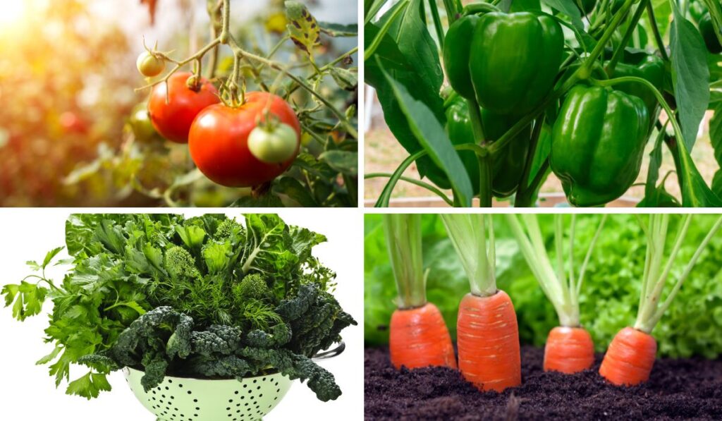 20 Fruits and Vegetables You Can Grow Indoors: A Guide to Indoor ...
