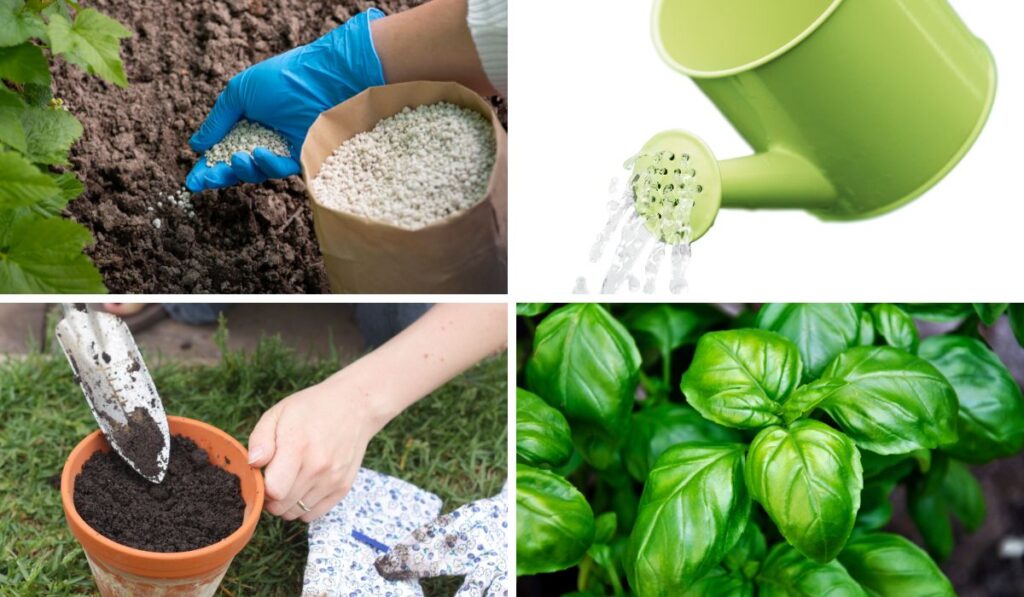 Turn Your 5-Gallon Bucket Garden into an Herb Haven with These 14 Must ...